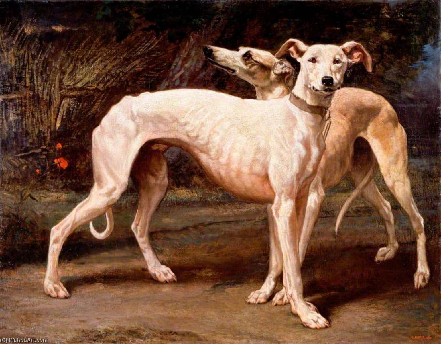 Ordem Reproduções De Arte Dois Greyhounds, 1850 por Louis Godefroy ...